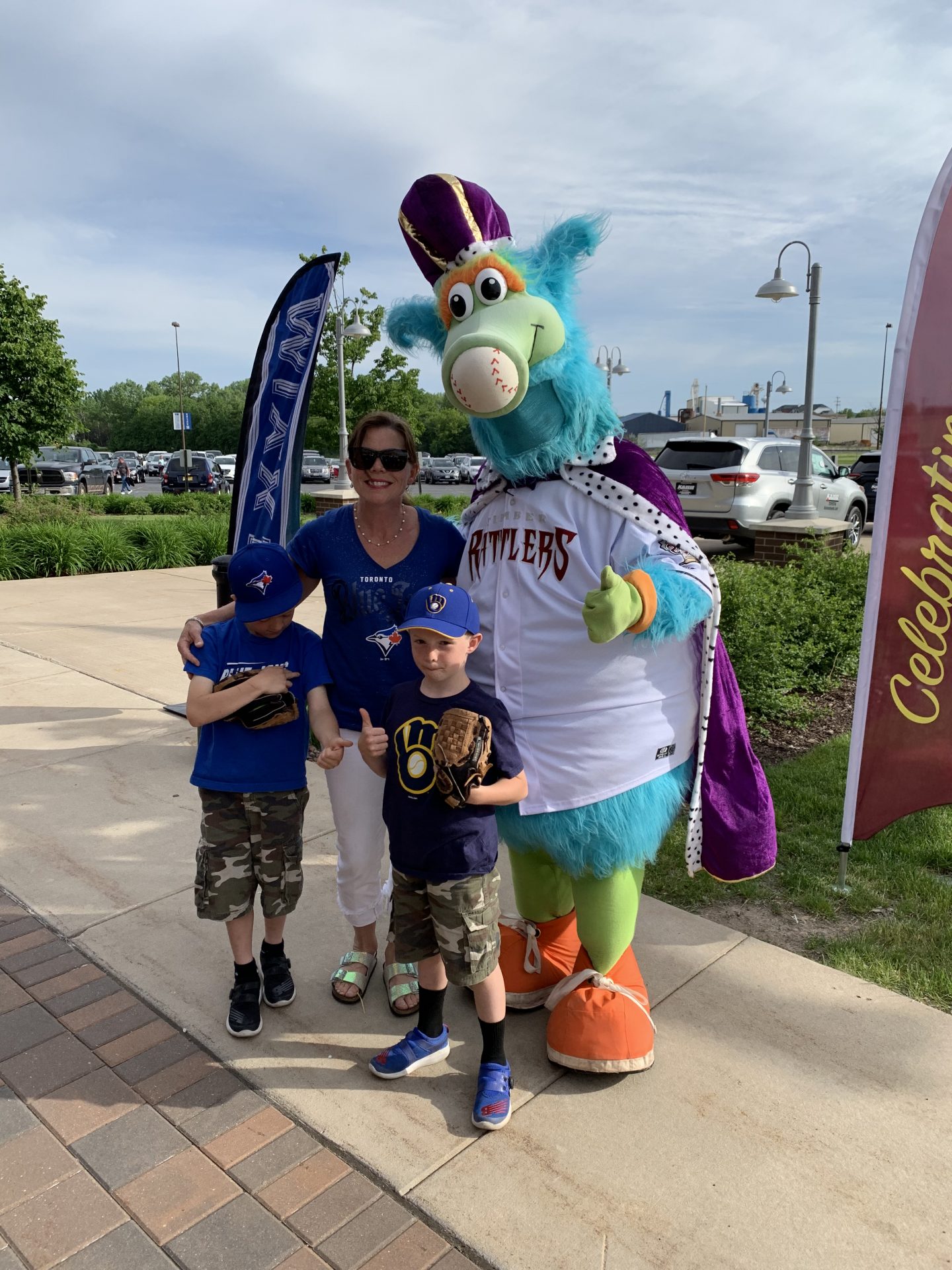 Painter Appreciation Event - Appleton Timber Rattlers Baseball Game