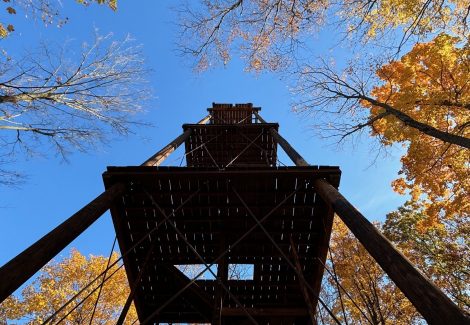 Observation Tower Staining Project - NeWI
