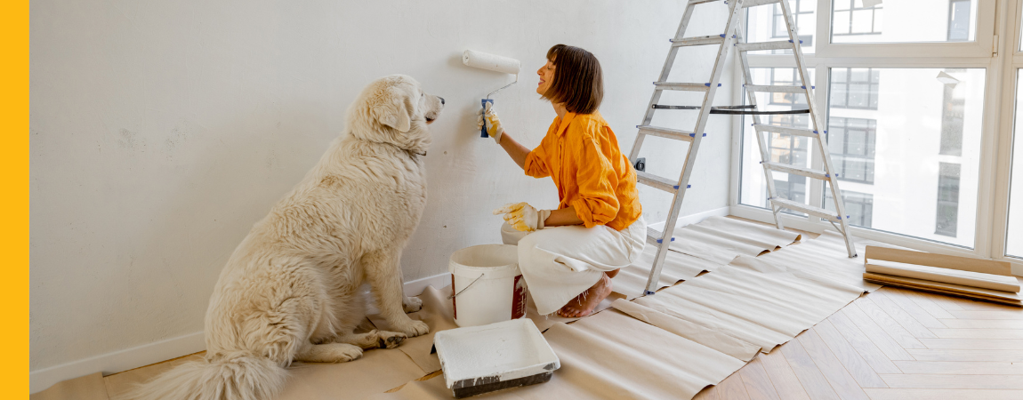 Pet-Friendly Paint: Non-Toxic Paint Resist to Scratches & Smells