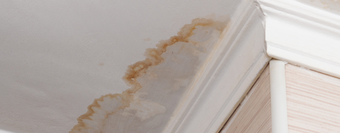 How to Remove and Repair Water Stains on Ceilings: Our Guide