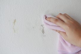 Flat, Semi-Gloss, Glossy: How to Clean Painted Walls Without Damaging ...