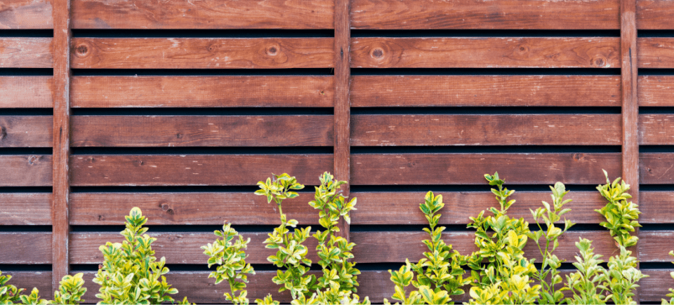 Stain Options for Fences: Choosing the Right Fence Stain - CertaPro ...